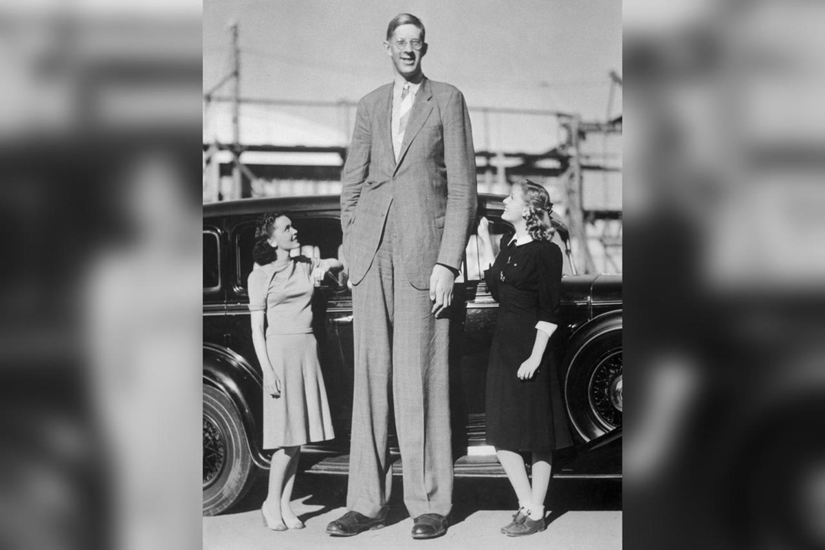 Vídeo raro mostra Robert Wadlow, o homem mais alto da história, aos 15 ...