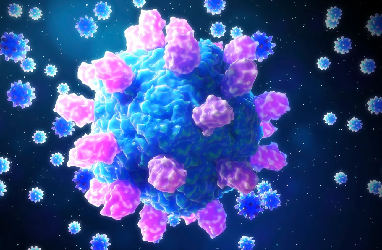 Cientistas revelam como vírus da gastroenterite invade células humanas ...